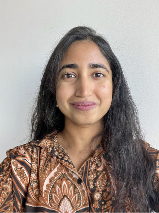 Georgia Tech Visual Analytics Lab