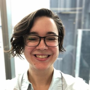 Georgia Tech Visual Analytics Lab