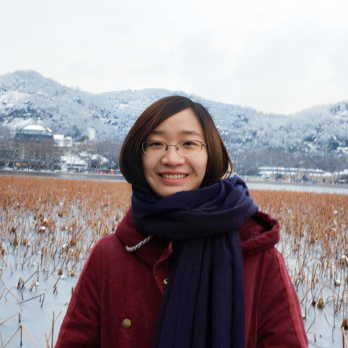 Georgia Tech Visual Analytics Lab